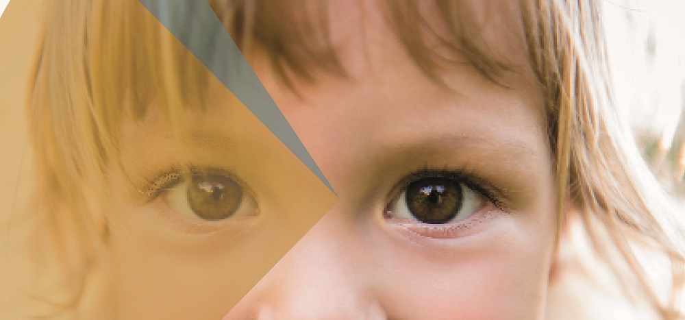 Huiselijk geweld een complex en hardnekkig probleem - Verwey-Jonker ...